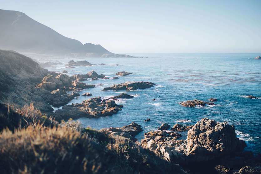 SeaForester